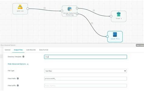 How To Saw The Local Fs In Command Terminal Streamsets Community