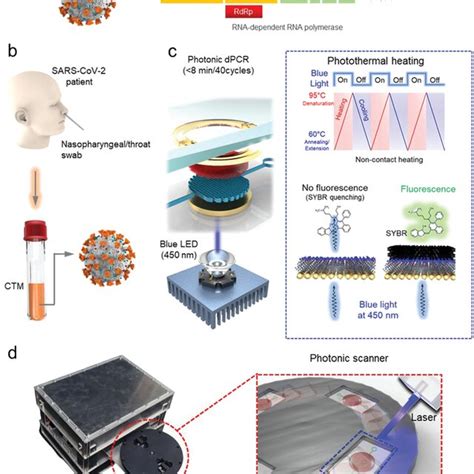 The Determine Of Pcr Performance Using Photonic Dpcr A Illustration