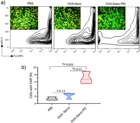 Induction Of Lysosomal Membrane Permeabilization Lmp By Nanofibers