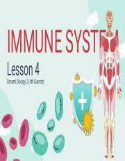 Understanding The Immune System Key Concepts And Functions Course Hero