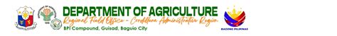 Rsbsa Registration Form And Updating Forms Department Of Agriculture