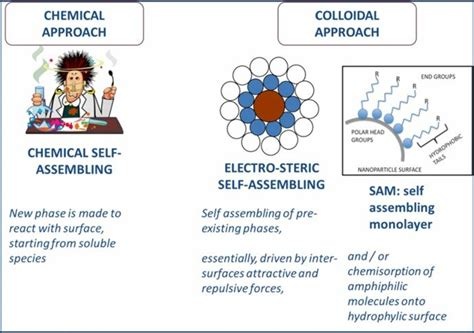 8 Different Chemical And Colloidal Approaches To Surface Functionalization Download Scientific