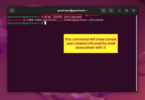 How To Know What Shell You Are Using Proven Methods