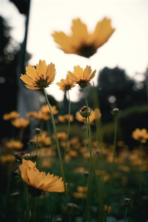 Abhishek Saini Photography