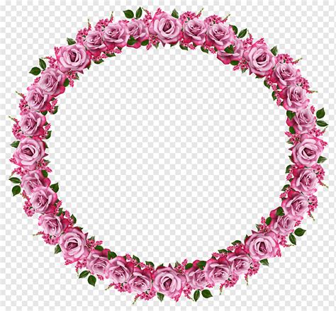 프레임 테두리 화환 꽃 핑크 장미 Ixia 꽃 인사말 카드 장식 Png Pngwing