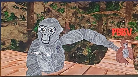 Finding Pbbv In Gorilla Tag Youtube