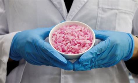 အနာဂါတ်မှာ အမဲသားဆန် က ပရိုတင်းရင်းမြစ်ဖြစ်လာနိုင်တယ်လို့ တောင်ကိုရီးယားသိပ္ပံပညာရှင်တွေပြော