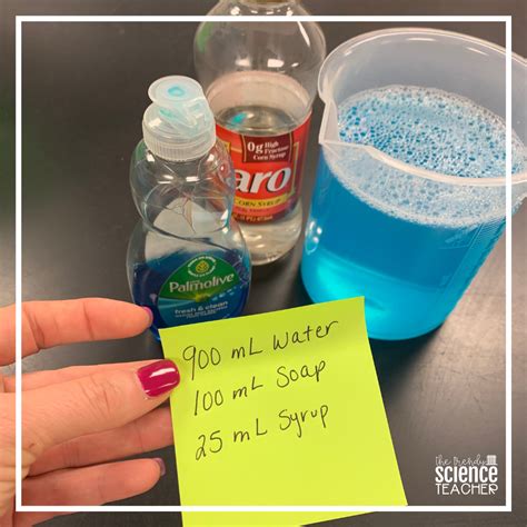 Cell Membrane Bubble Lab Artofit