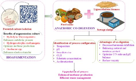 Innovative Strategies For Enhanced Biogas Production Download Scientific Diagram