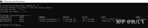 白话docker—docker run及docker compose 知乎