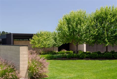 Rounded And Spreading Canopy Trees