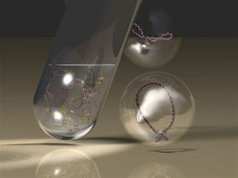 single molecule dna topology and metagenomic circular dna
