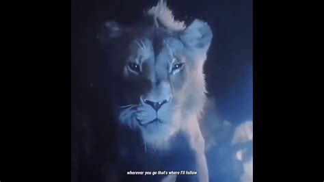 Mufasa Movie Edit Spoiler Fy Lirics Lyrics Liryc Disney