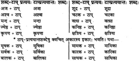 Stree Pratyaya In Sanskrit स्त्री प्रत्यया Stree Pratyaya Ke Udaharan परिभाषा भेद