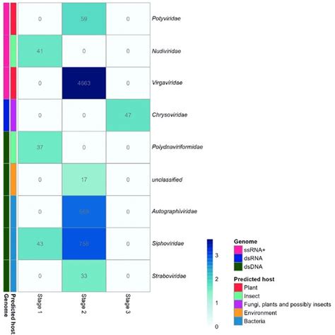 Heatmap Profile Showing The Relative Abundance Of Viral Families Download Scientific Diagram