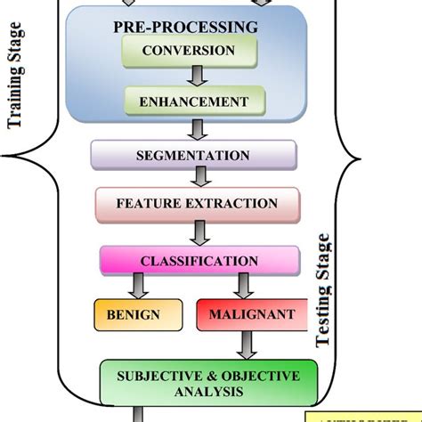 Gui Indicating Output Of Input Image 3 Download Scientific Diagram
