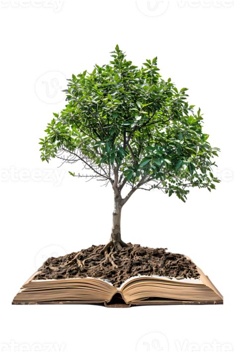 Tree Emerging Into An Open Book Isolated Against A Transparent Background PNG