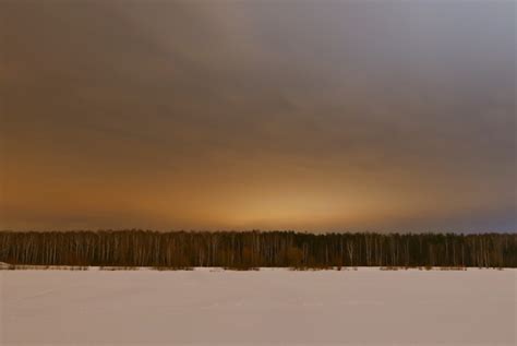 배경에 나무가있는 눈 덮인 들판 사진 Unsplash의 무료 자연 이미지