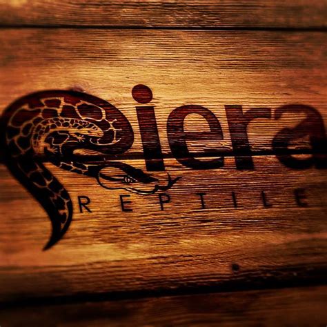 Pin On Exotics Ball Python Python Logo Art Logo