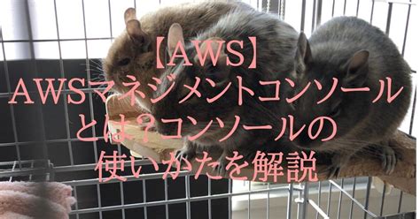 【aws】awsの基本であるawsマネジメントコンソールとは？作業の基本となるコンソールの使いかたを初心者向けに解説 Hachi System