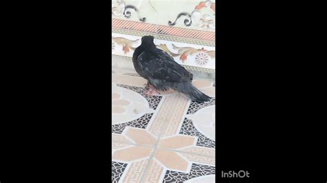 حمامت اخي مجددن ️💕 Youtube