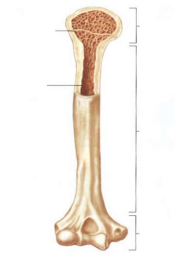 Module 2 Lecture 45 Flashcards Quizlet