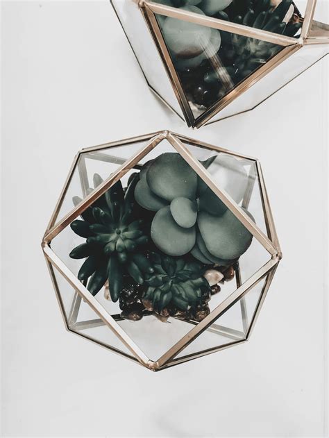 상자에 있는 녹색과 백색 꽃 장식 사진 Unsplash의 무료 회색 이미지