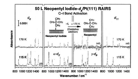 This Figure Demonstrates The Preparation Of A Neopentyl Surface