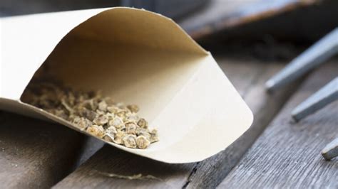 How To Read A Seed Packet Harvest To Table