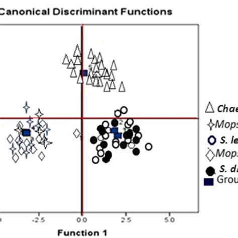 Sonograms Of Echolocation Calls Of Chaerephon Major A Mops