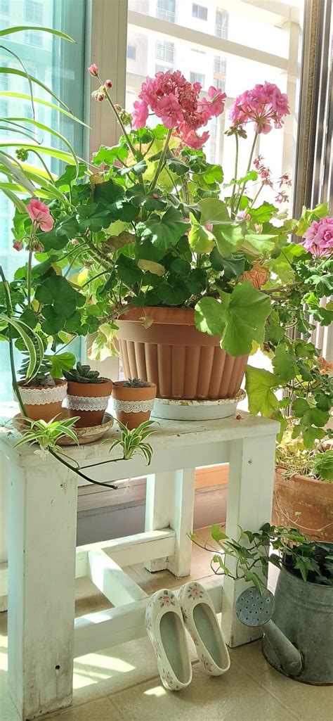 베란다 미니 정원 작은 정원 디자인 정원 미니 정원