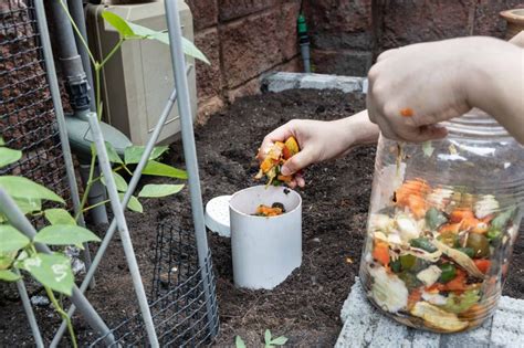 10 Types Of Composting Methods For 2022 The Home Tome