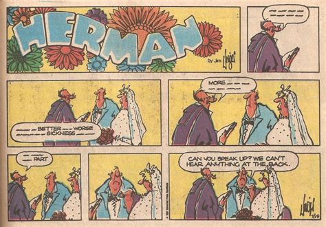 Sunday Comics Debt Wedding Jitters