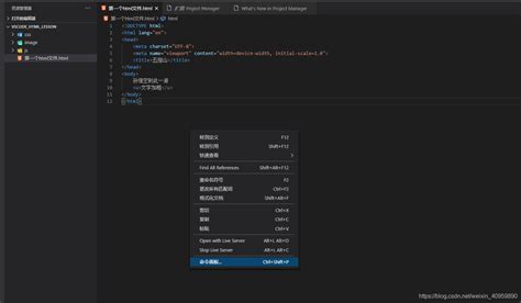 html 入门学习笔记01 vscode中html代码中的动态和静态部分是 csdn博客