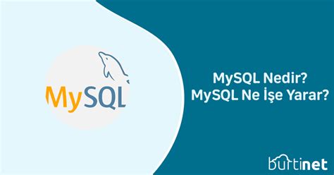 Mysql Nedir Mysql Ne İşe Yarar Burtinet