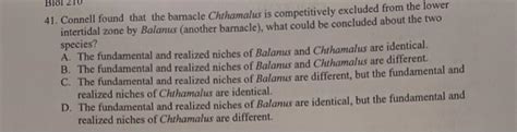 Solved 41 Connell Found That The Barnacle Chthamalus Is