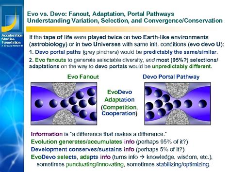 Evo Devo Universe A Speculative Framework For Thinking