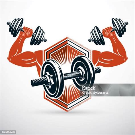 보디 아령과 디스크 무게와 근육 질 팔의 벡터 그림 파워 리프팅 강철에 대한 스톡 벡터 아트 및 기타 이미지 강철 건강한