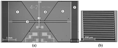 Sensors Free Full Text Dual Band Mems Directional Acoustic Sensor