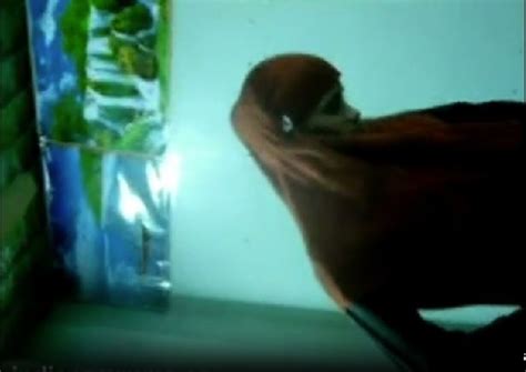 నలలర ల రకసర మచచడ లన ట ల సకస