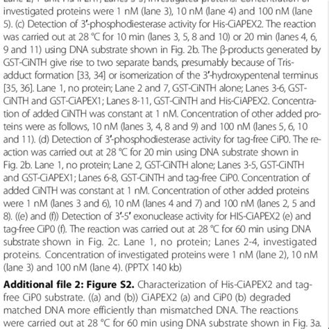 Abbreviations AP Site Apurinic Apyrimidinic Site APEX AP Download Scientific Diagram