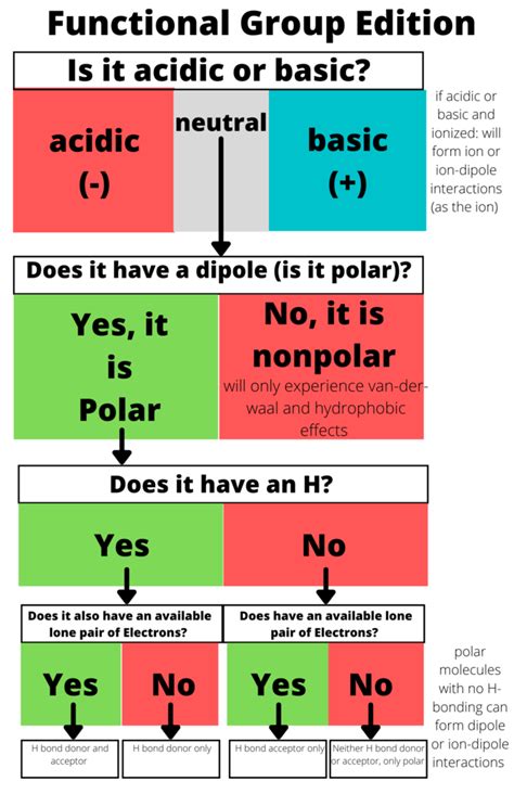 Functional Groups Classification Diagram Quizlet