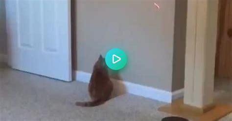 Somebody Call An Exorcist Album On Imgur