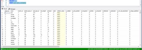 Database Dictionary 1 1 Server Database Schema Table And Column