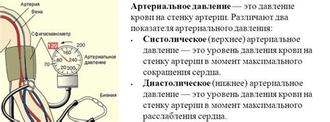 Артериальное давление - это давление крови на стенку артерии Education ...