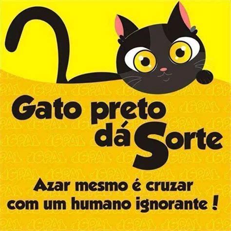 Bibi Leitura Feliz Sexta Feira 13 Frases