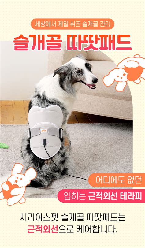 시리어스펫 슬개골 따땃패드 주식회사 파이헬스케어