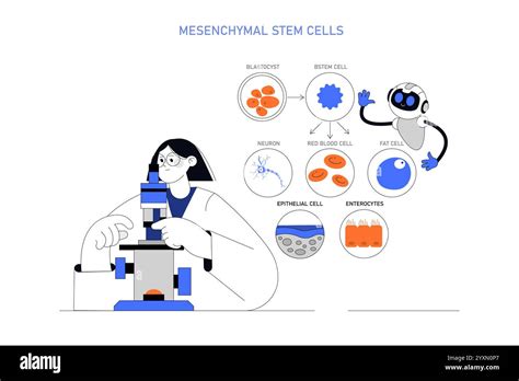 Mesenchymal Stem Cells Concept Scientist Examining Stem Cells