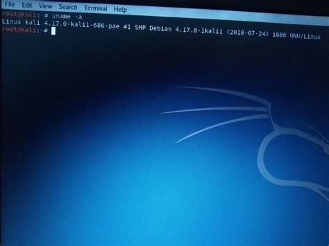 Kali Linux Wifi Connect But No Internet Connection Linux And Unix