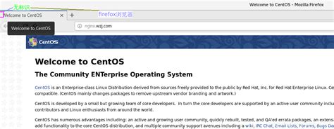 Nginx九nginx的favicoiconginx Faviconico Csdn博客